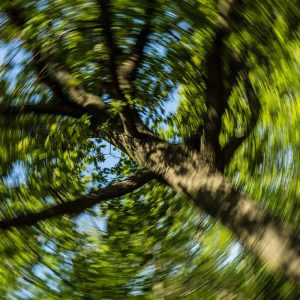 Eastern Virginia Ear, Nose & Throat Specialists – At Eastern Virginia ...